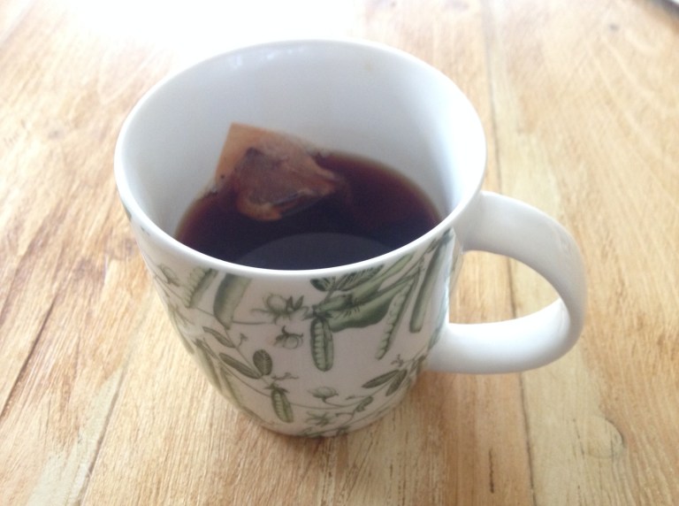 How, where and when to plant chilli seeds | Birdhouse Chillies